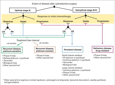 Ovarian Cancer Chemotherapy
