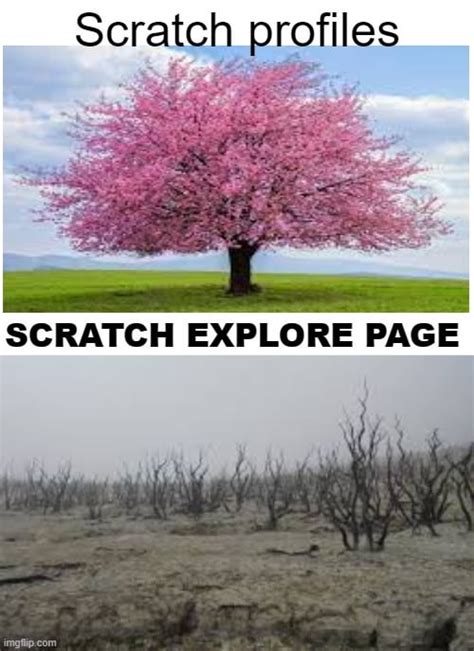 scratch profiles vs scratch explore page r scratchmemes