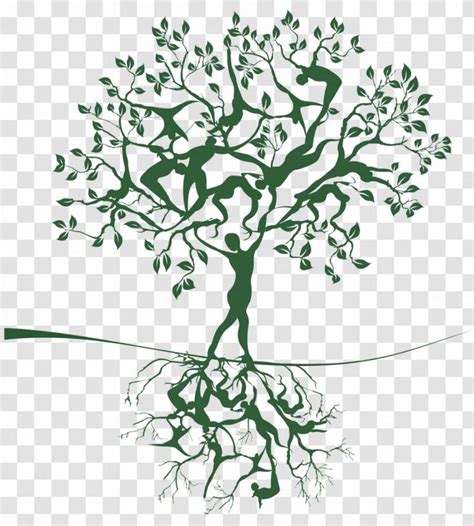 Tree Of Life Woman Transparent PNG White Flowering Plants Trees To Plant Plant Roots