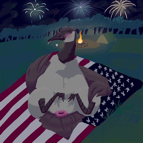 Rule 34 4th Of July Ambiguous Gender Anatid Animal Genitalia