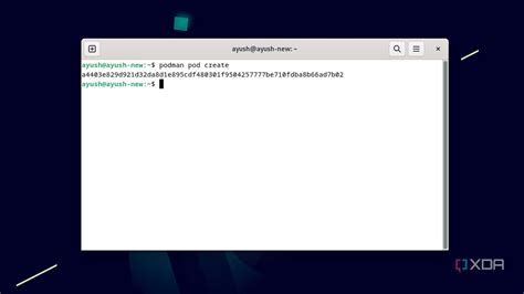 Docker Vs Podman Which Ones Better For Your Self Hosting Needs