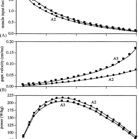 Three Basic Types Of Lever Mechanisms A First Order Lever B Download Scientific Diagram