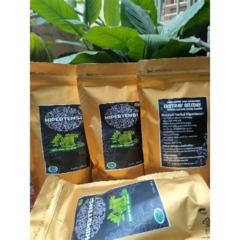Jual Estrak Daun Sledri Untuk Hipertensisetrukasamurat Shopee Indonesia