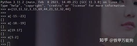 特别篇c级别 List容器类似python切片实现原理 知乎