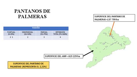 Pantanos De Palmeras Pdf
