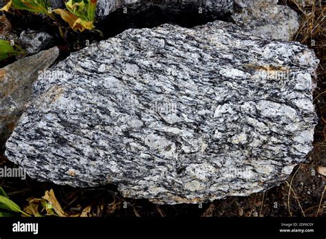 Recrystallization Rock