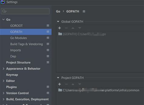go can jetbrains goland use both gomodule and gopath stack overflow