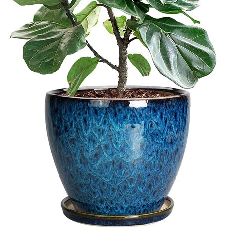 Large Glazed Ceramic Indoor Planters