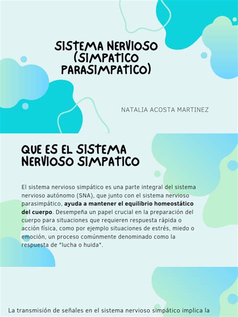 Sistema Nervioso Simpático Y Parasimpático Pdf Sistema Nervioso