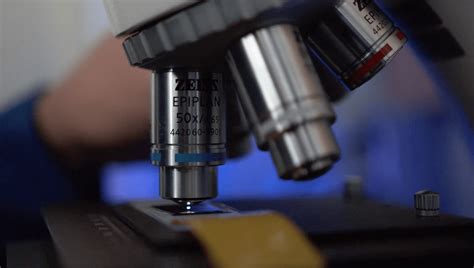 Irisndt Comprehensive Engineering Services For Asset Integrity