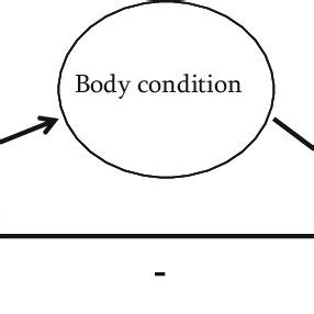 Showing Relationships To Be Tested In Path Analysis Download