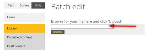batch edit for skills audits eagle point software