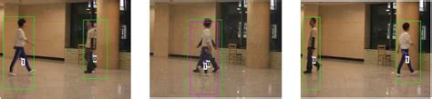 pdf robust detection and tracking algorithm of multiple objects in