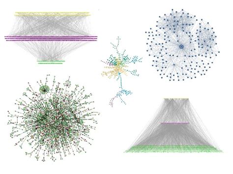 Biological Networks Analysis Degree Distribution And Network Motifs