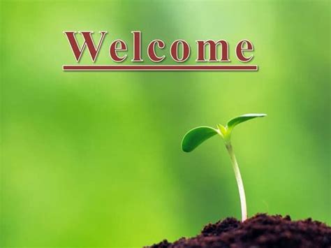 Seed Testing For Germination Pptx Seed Testing For Germination Pptx