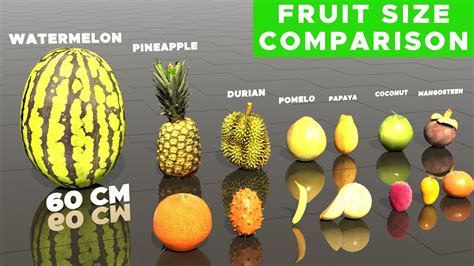 Fruit Size Comparison 3d Animation Comparison Real Scale Comparison Youtube