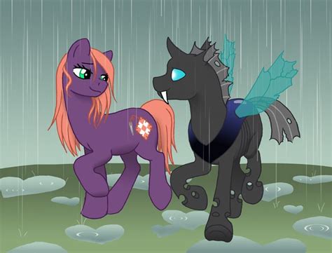 452 Best Images About MLP On Pinterest Adoption Rainbow Dash And Ponies