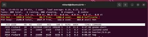 How To Check Ram On Ubuntu Linux Step By Step Guide Geek Rewind