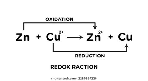 Reduction Half Reaction