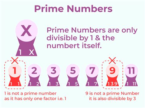 What Is A Prime Number Geeksforgeeks