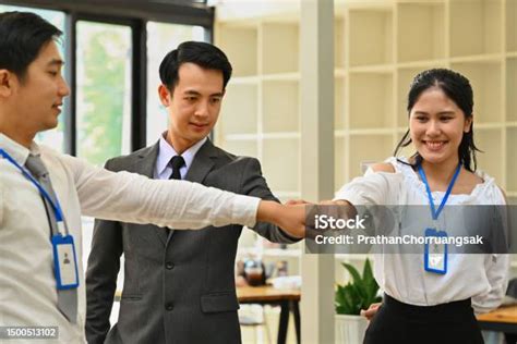 팀워크 단합 및 동기 부여 지원 주먹을 부딪히는 제스처를 취하는 직원들 프로젝트 완료 후 축하하는 사람들 20 24세에 대한 스톡 사진 및 기타 이미지 Istock