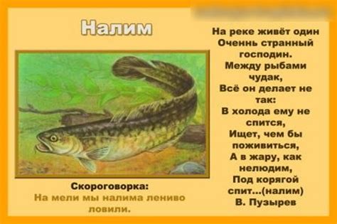 Стихи про природу 4-5 класс для детей