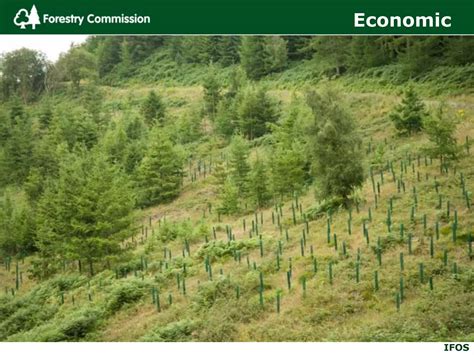 Forestry Commission Arcgis As A Platform Part 1 Pptx Computer Software And Applications