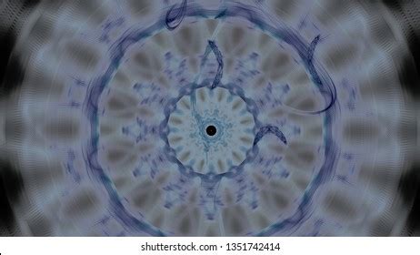 Sex Organs Female Tilapia Sex Classificationurinary Stock Photo Shutterstock