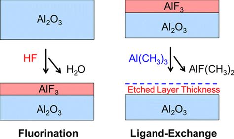 Selectivity In Thermal Atomic Layer Etching Using Sequential Self Limiting Fluorination And