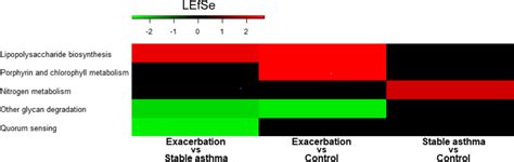 Heatmap Plotted From Linear Discriminant Analysis Effect Size Analysis