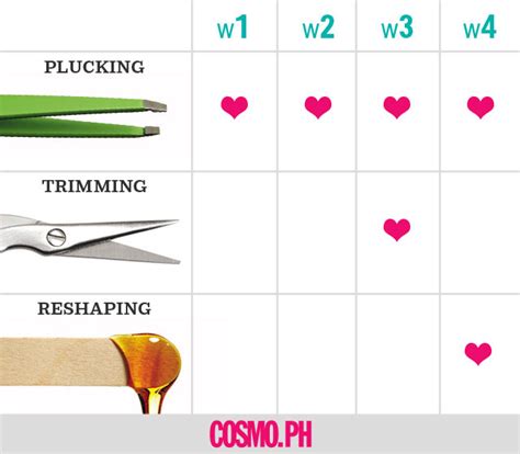 How Often Should You Have Your Brows Reshaped