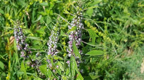 What Does The Bible Say About Sex During Menstruation