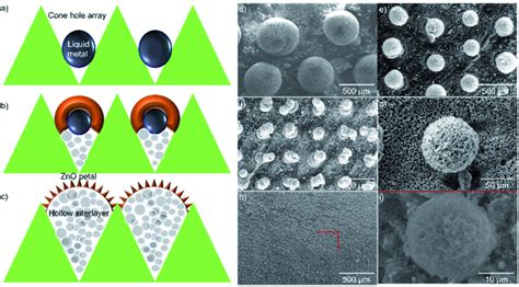 Ac The Liquidsolid Transformation Of Egain Liquid Droplets In The