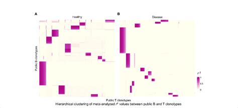 Hierarchically Clustered Heatmap Of Correlations Between Public B And T Download Scientific