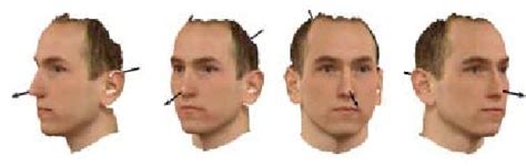 Figure 1 From A Method For Robust Nose Tip Location Across Pose Variety
