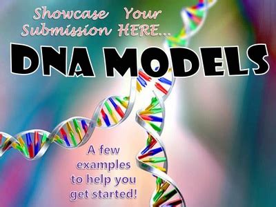 202B U1 DNA Modeling Lab Day1 Weebly Website For OHVA