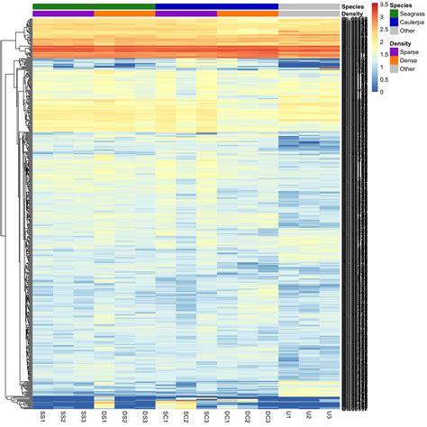 Heatmaps Environmental Computing