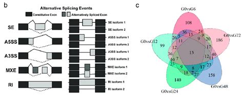 Differential Alternative Splicing Events Identified In Arabidopsis