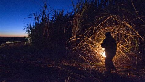 Shaping The Transnational Capitalist Class Tncs And The Global Economy