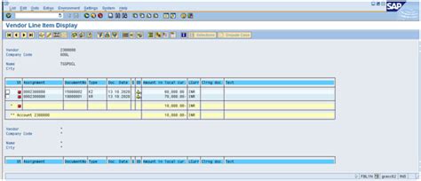 Sap Fico Partial And Residual Payments Sap Fico