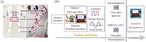 Figure 1 From Static And Dynamic Human Armhand Gesture Capturing And Recognition Via