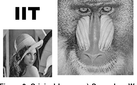 Figure 1 From Dwt Svd Based Dual Watermarking Scheme Semantic Scholar