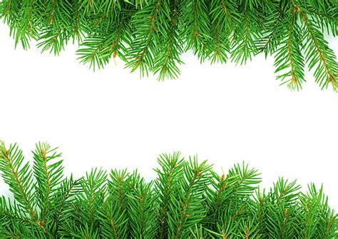 Leaf Framework Background Images Hd Pictures And Wallpaper For Free