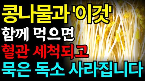 콩나물과 이것 함께 먹으면 노화 독소 치매 싹 사라집니다 노후에 콩나물을 먹어야 하는 이유 콩나물 함께 먹으면 보약이 되는 음식 콩나물 안전하게 먹는 방법