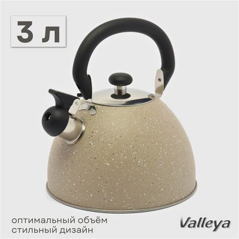 Чайник для плиты гранитный со свистком из нержавеющей стали Valleya 3 литра для всех видов