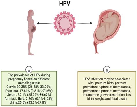 Symptoms Of Hpv In Women