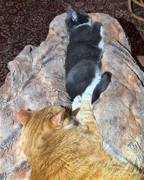 Shared Post Episode 2844 Cwsa 05 19 25