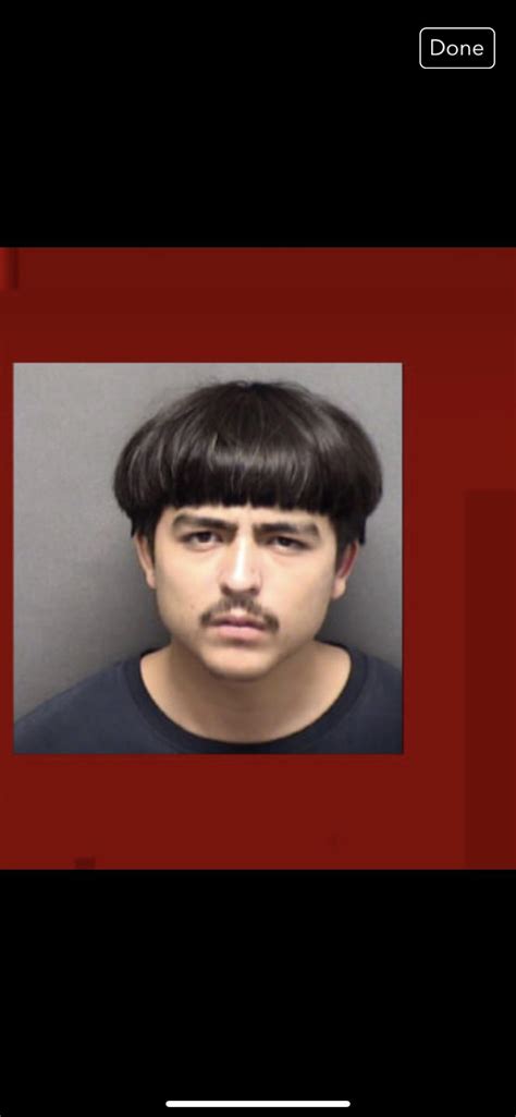 Its Me Marioi Mean Toad Rjustfuckmyshitup