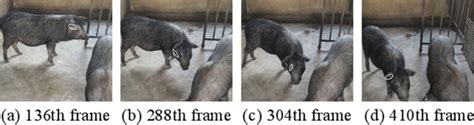 Tracking Results Of The Multi Feature Fusion Camshift Method Download