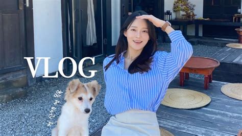 일상vlog 일상브이로그 포리의 첫 외출그리고 목욕 험난하다 일주일브이로그 부지런히 먹고 일하는 프리랜서 Youtube